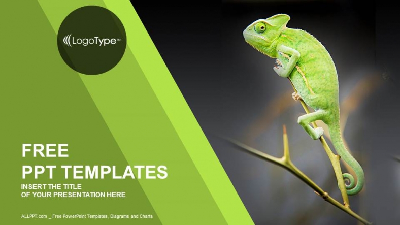 Chameleon Sitting on Green Plant-Nature PPT Templates - Powerpoint and ...