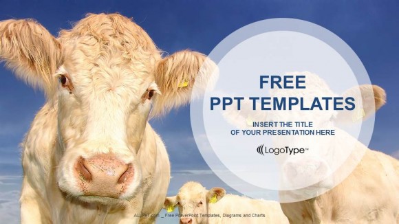 Cows in the field PowerPoint Templates - Powerpoint and google slides ... Cows in the field PowerPoint Templates - Powerpoint and google slides ...