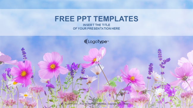 magenta Powerpoint templates and Google Slides themes -SaveSlides