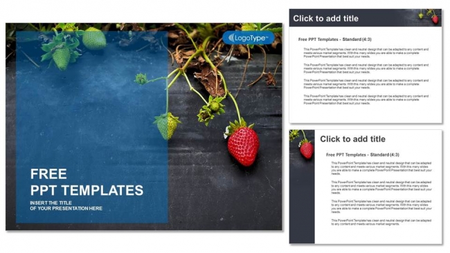 Strawberry field PowerPoint Templates - Powerpoint and google slides ...