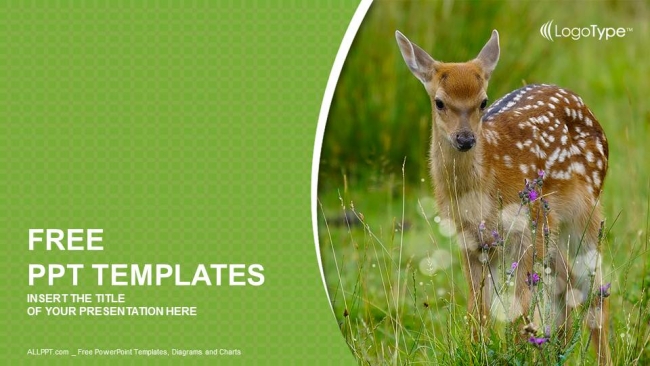 Young sika deer PowerPoint Templates - Powerpoint and google slides ...