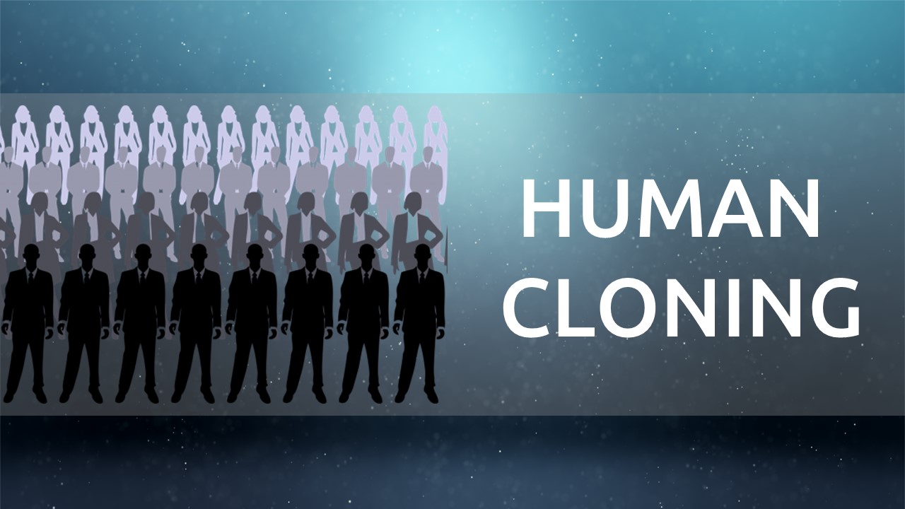 Human Cloning How Does Human Cloning Work Diagram